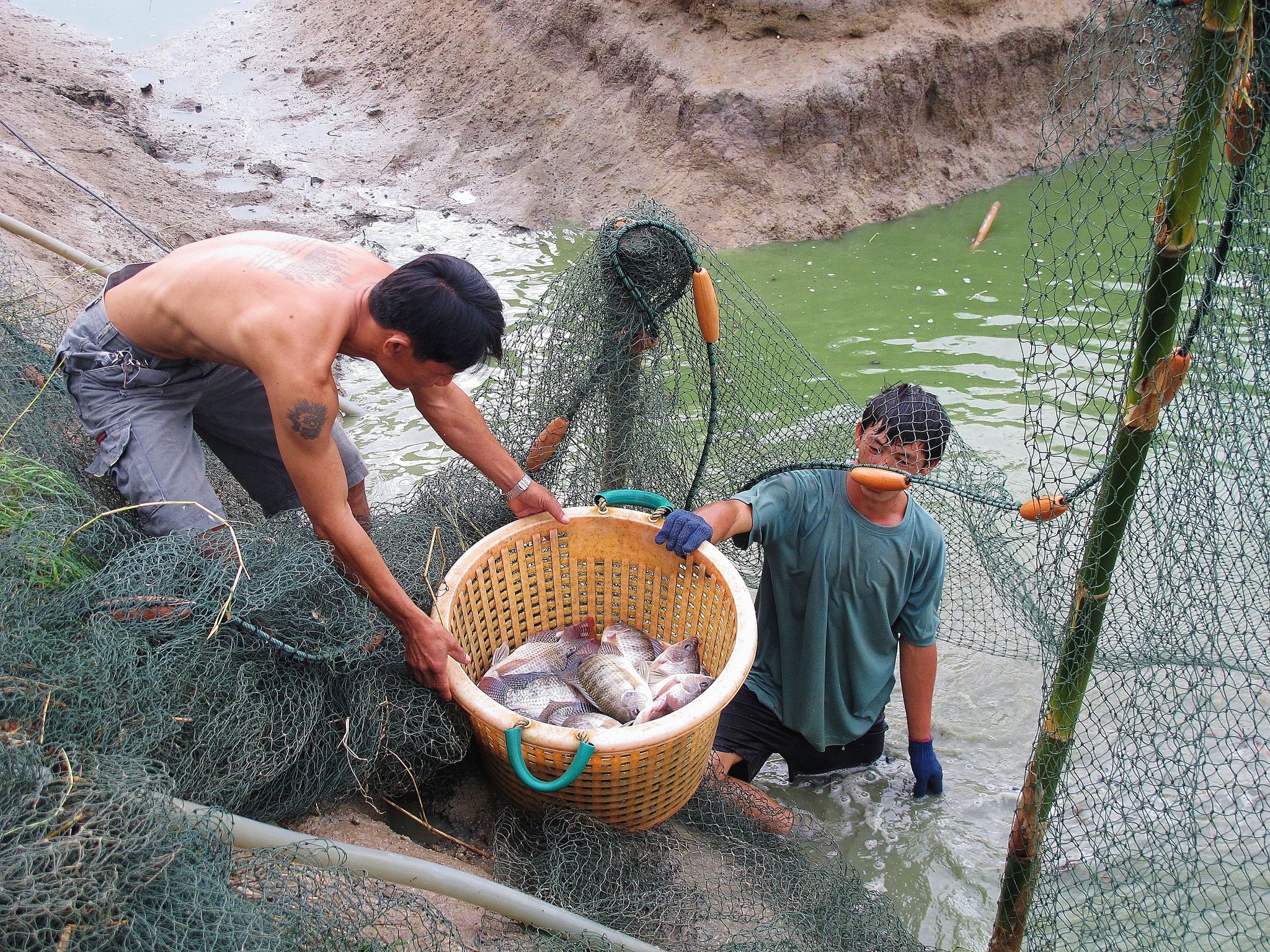 Products From AQUADAPT-Thailand Project (2012-2016) – AQUADAPT