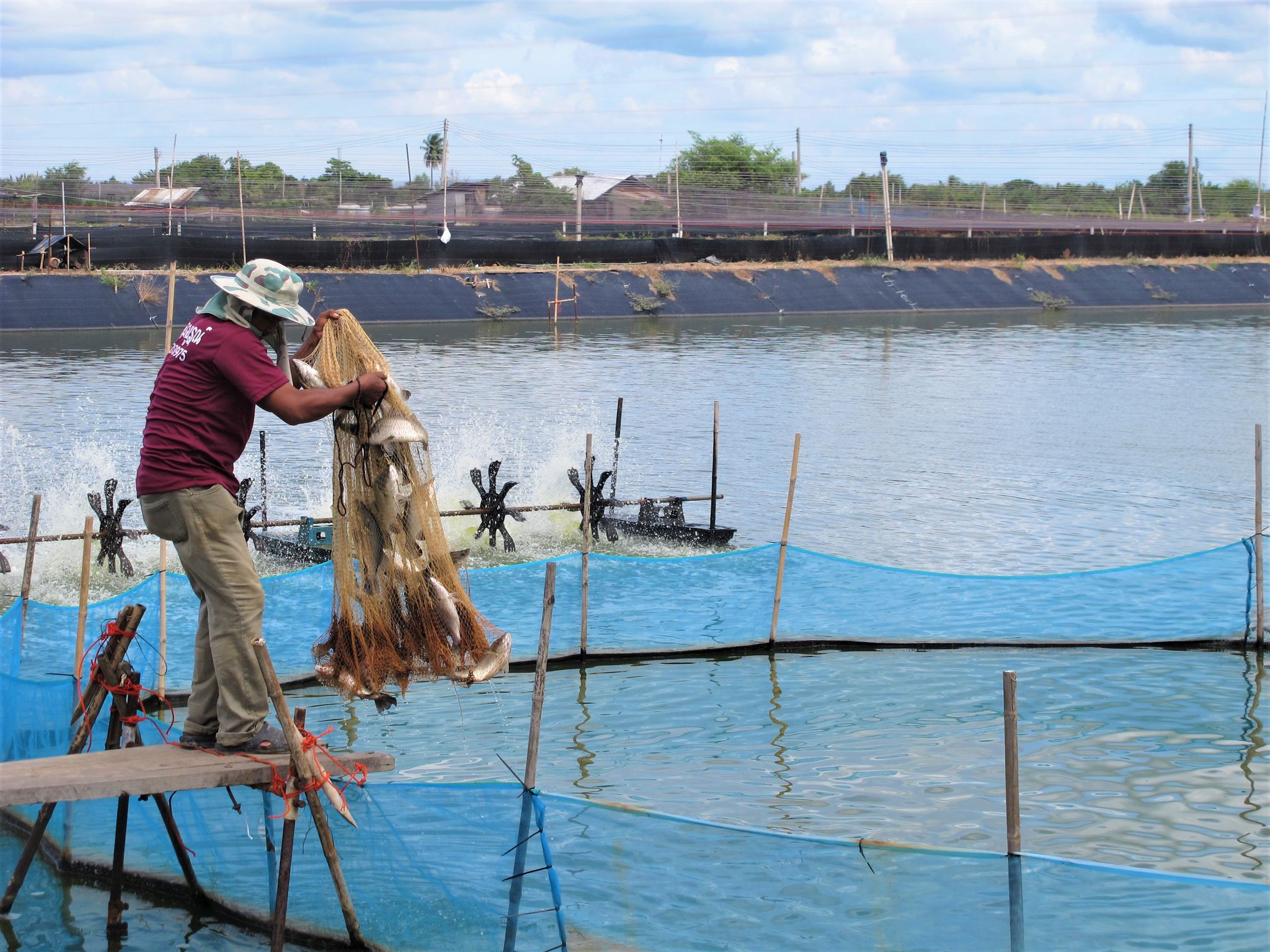 Products From AQUADAPT-Mekong Project (2017-2020) – AQUADAPT
