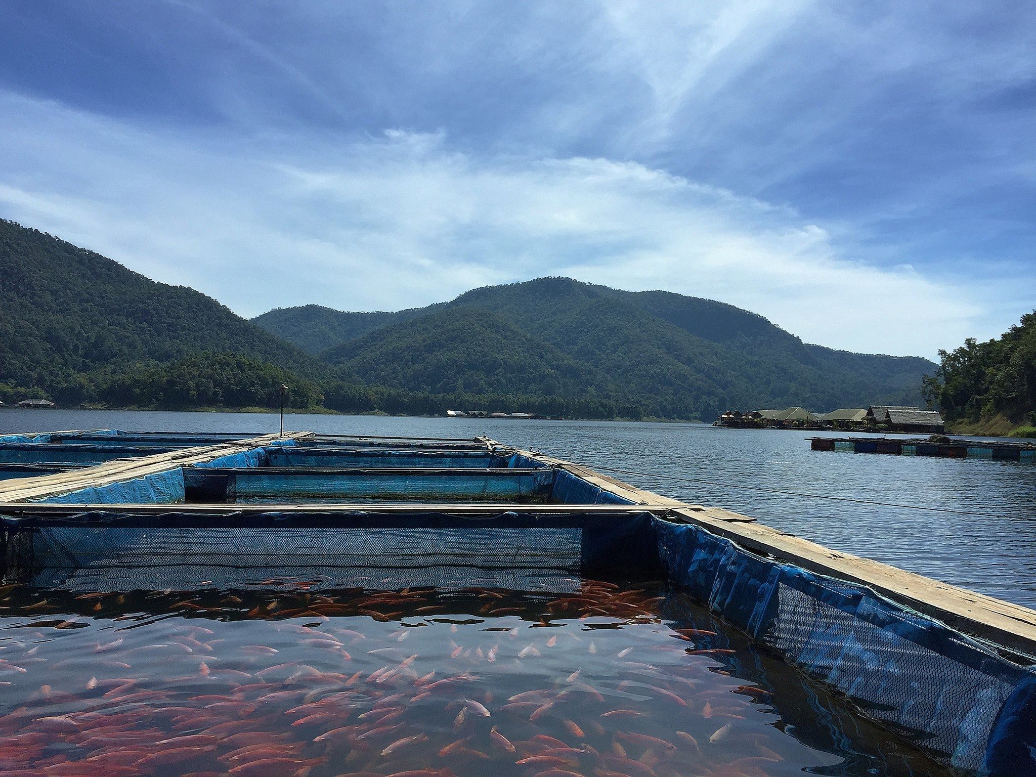 AQUADAPT-Thailand Project – AQUADAPT