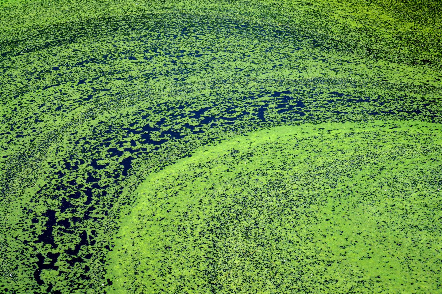Conversations About Environmentally Friendly Aquaculture – AQUADAPT