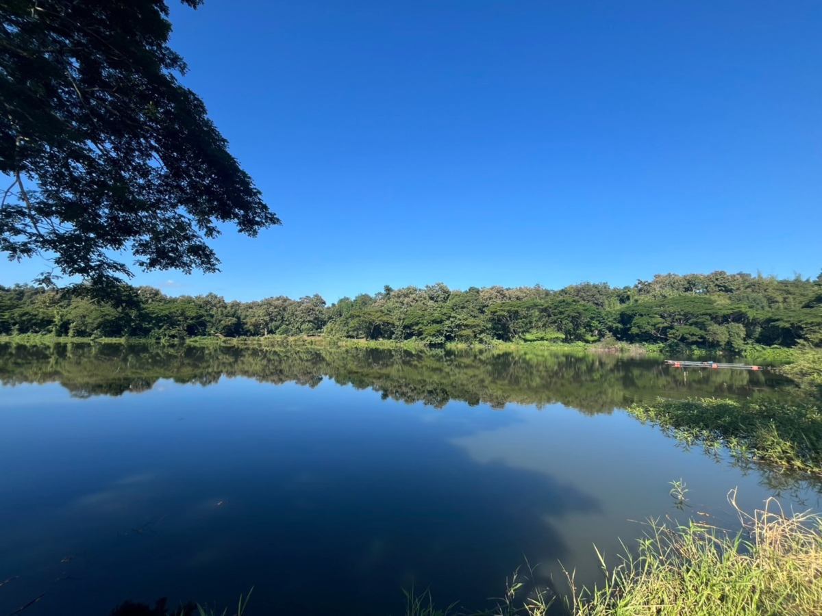 Thailand’s Community Fish Banks – AQUADAPT