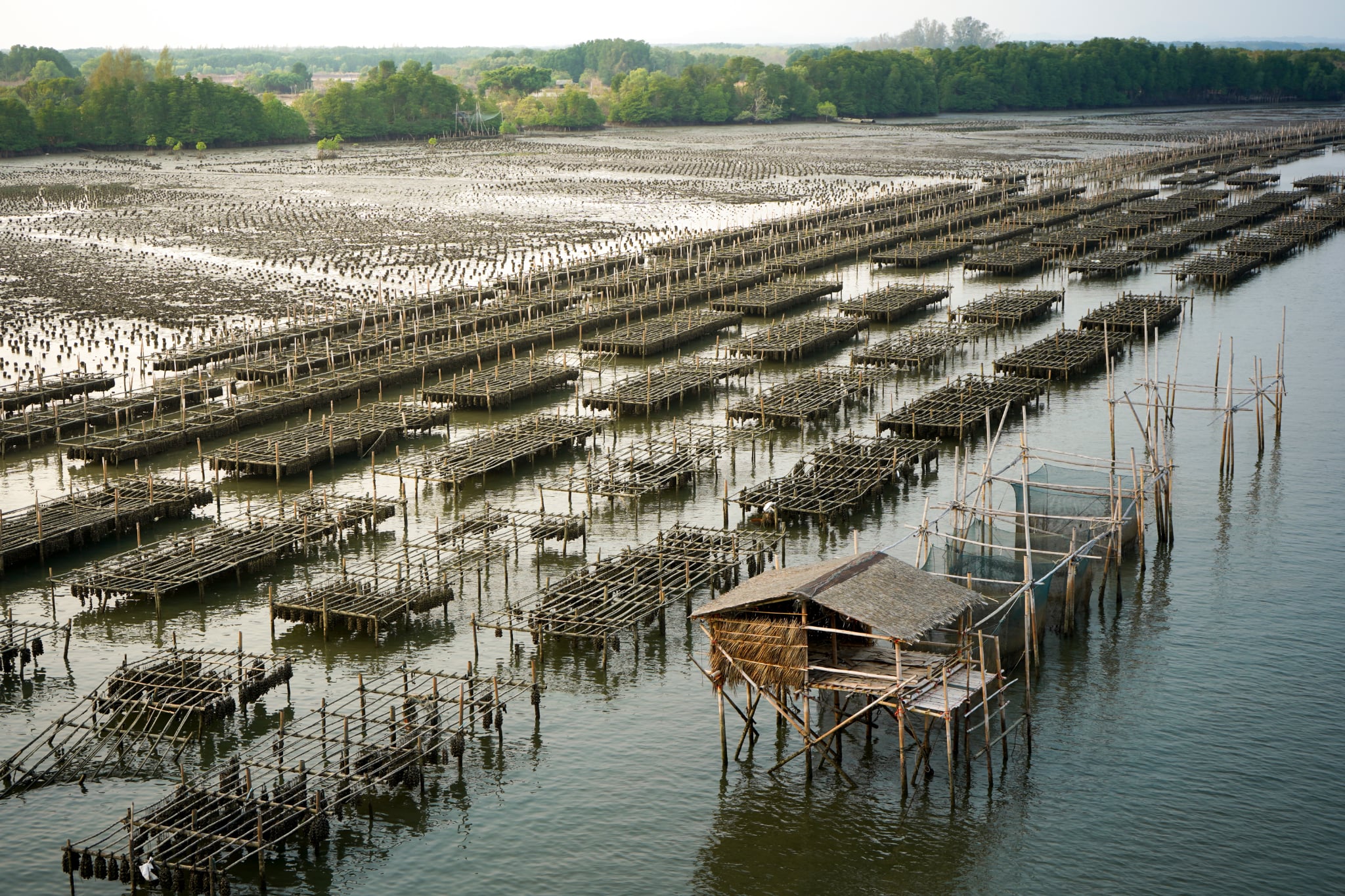 AQUADAPT – Aquaculture adaptation to climate chang