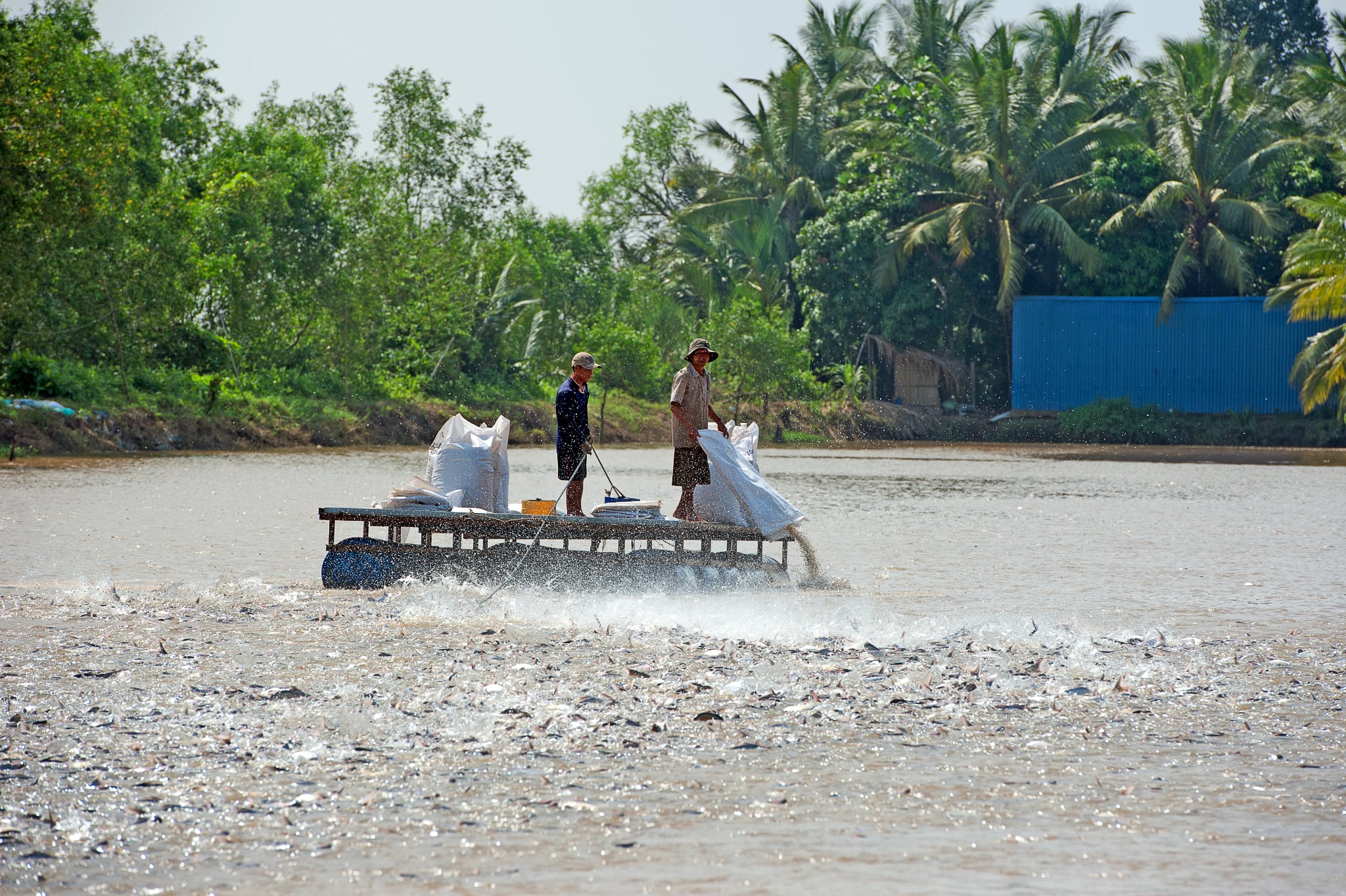 AQUADAPT – Aquaculture adaptation to climate chang