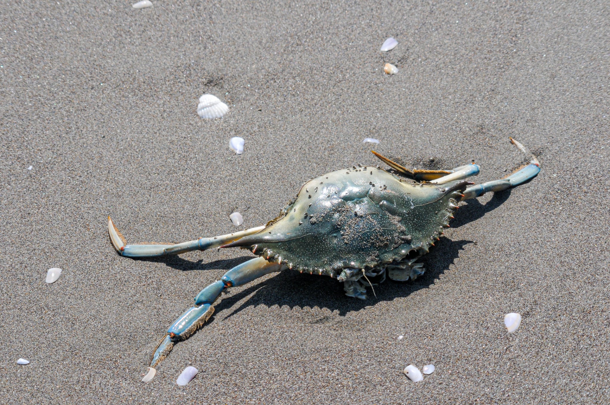 AQUADAPT – Aquaculture adaptation to climate chang