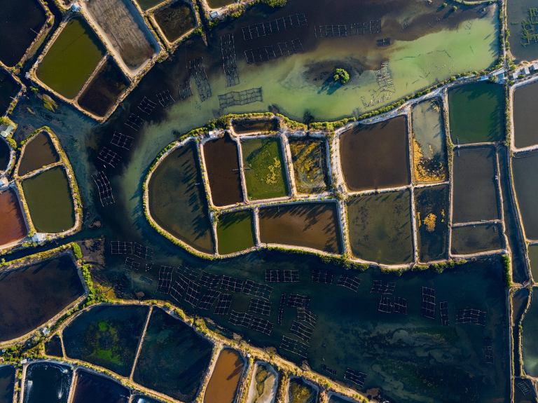 Gender-Inclusive Participation in Small-Scale Aquaculture – AQUADAPT
