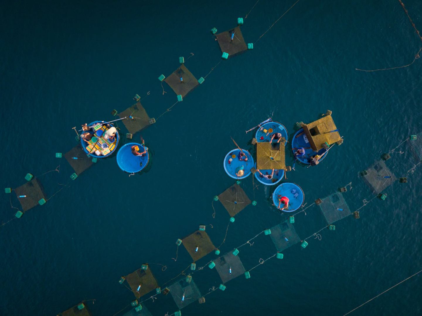 Nature-based Solutions and Gender Equality in Aquaculture – AQUADAPT