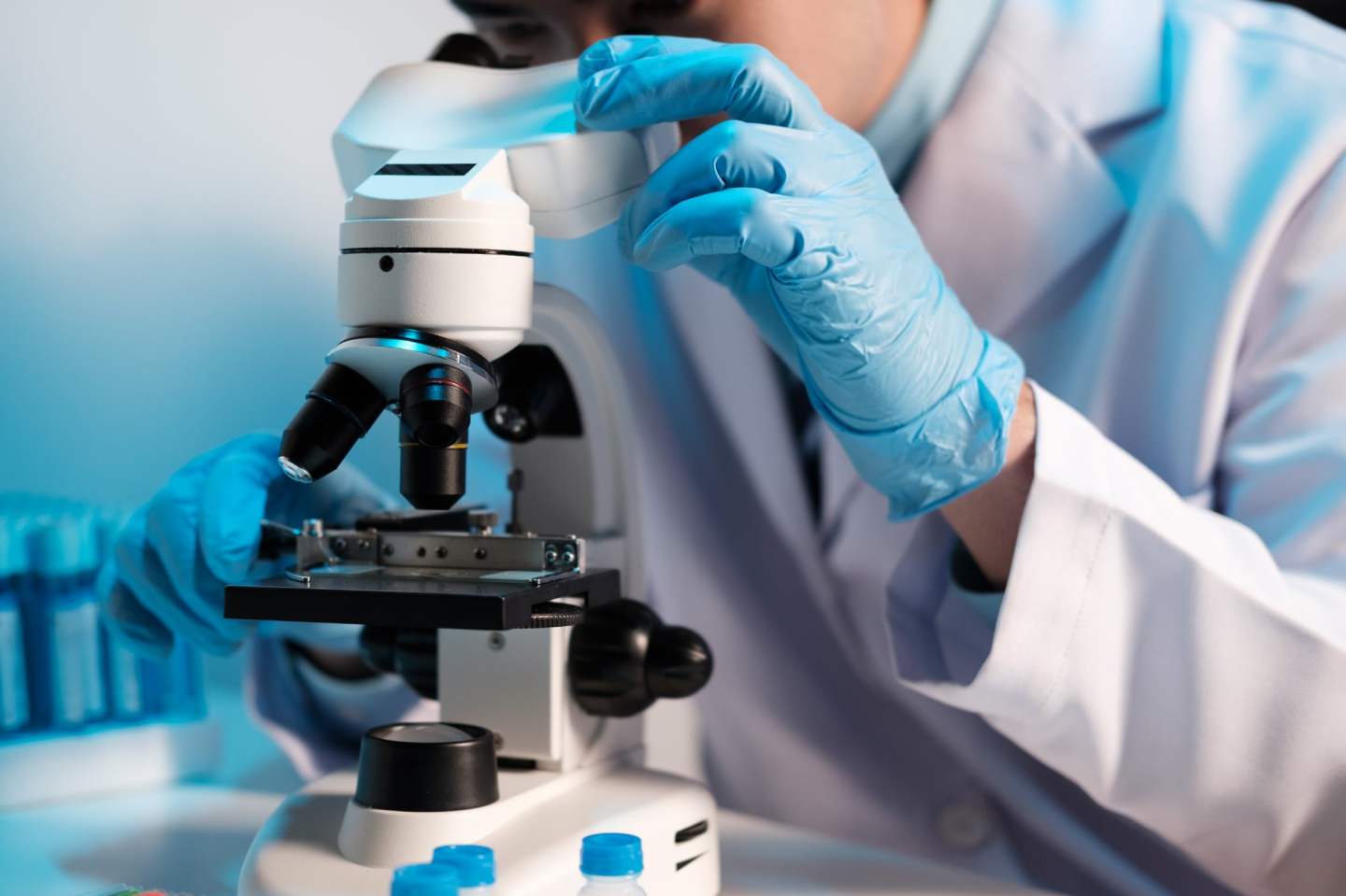 ShrimpGuard: Combining Phage and Immune Enhancers for Sustainable ...