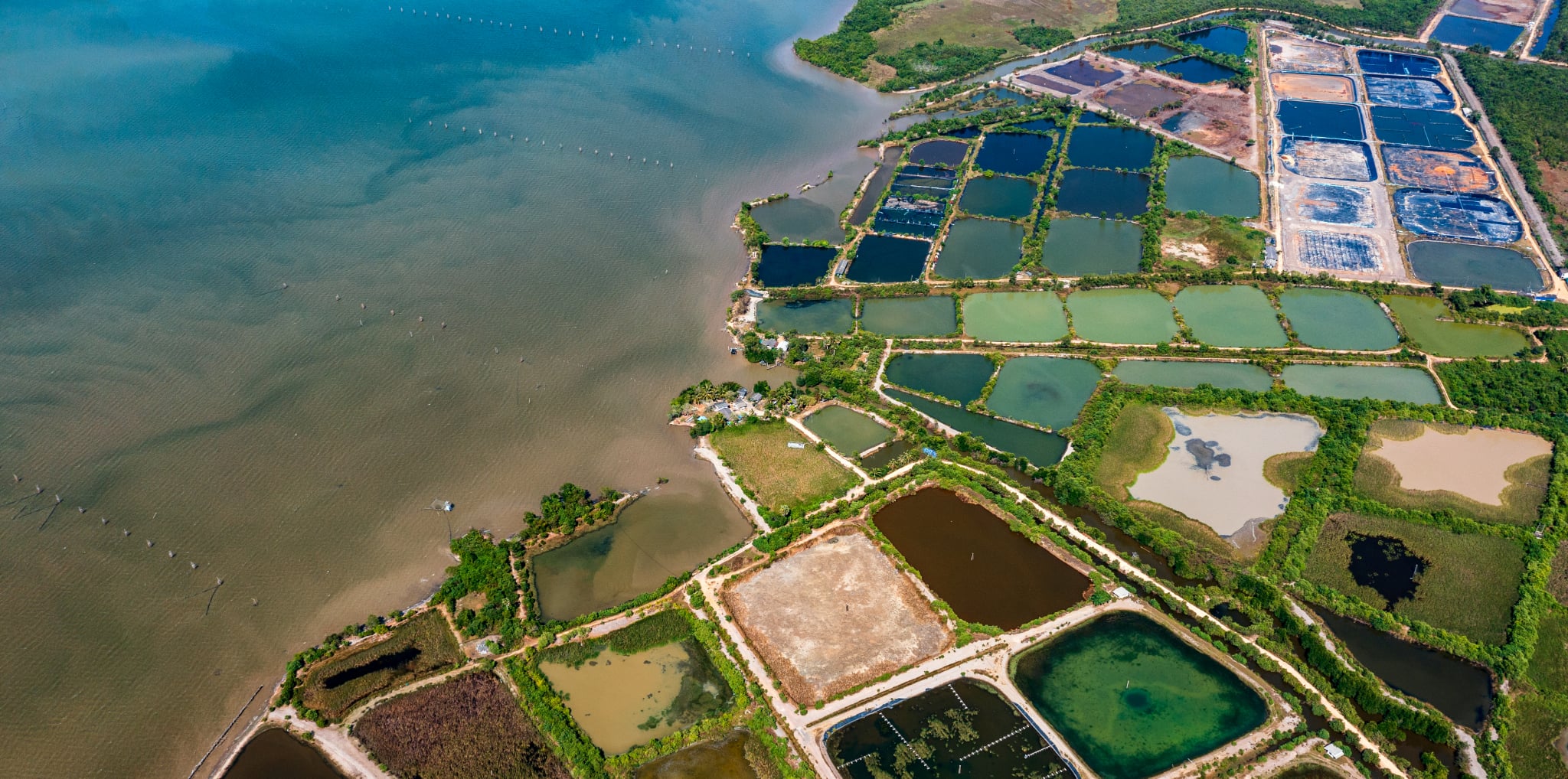 A Holistic Approach to Sustainable Aquaculture – AQUADAPT